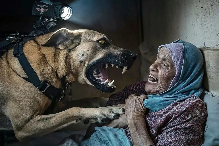 Anjing Israel Serang Lansia Palestina di Gaza, Picu Kemarahan Publik ...