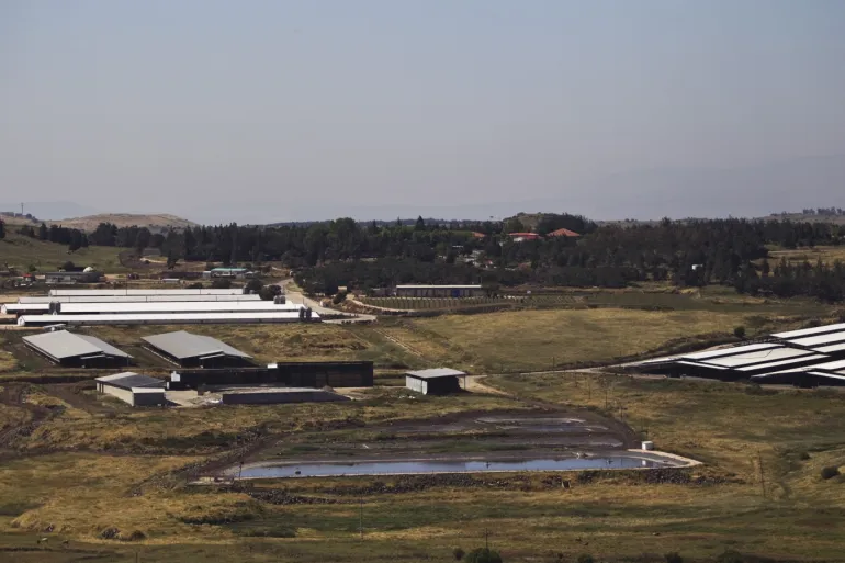 Pertanian Israel Hancur, Krisis Makin Parah, Produksi Turun 80% ...